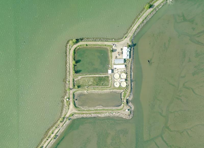 Natural Resources Salmon Enhancement Lummi Bay Hatchery